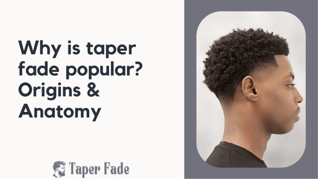 Why is taper fade popular? Origins & Anatomy - Taper Fade